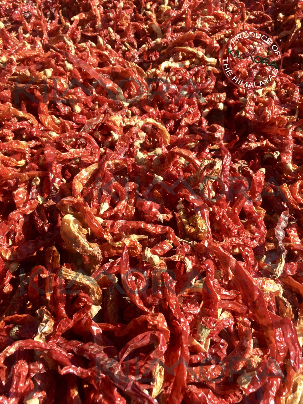 Mirchi (Red Chilli Powder) – Kilmora