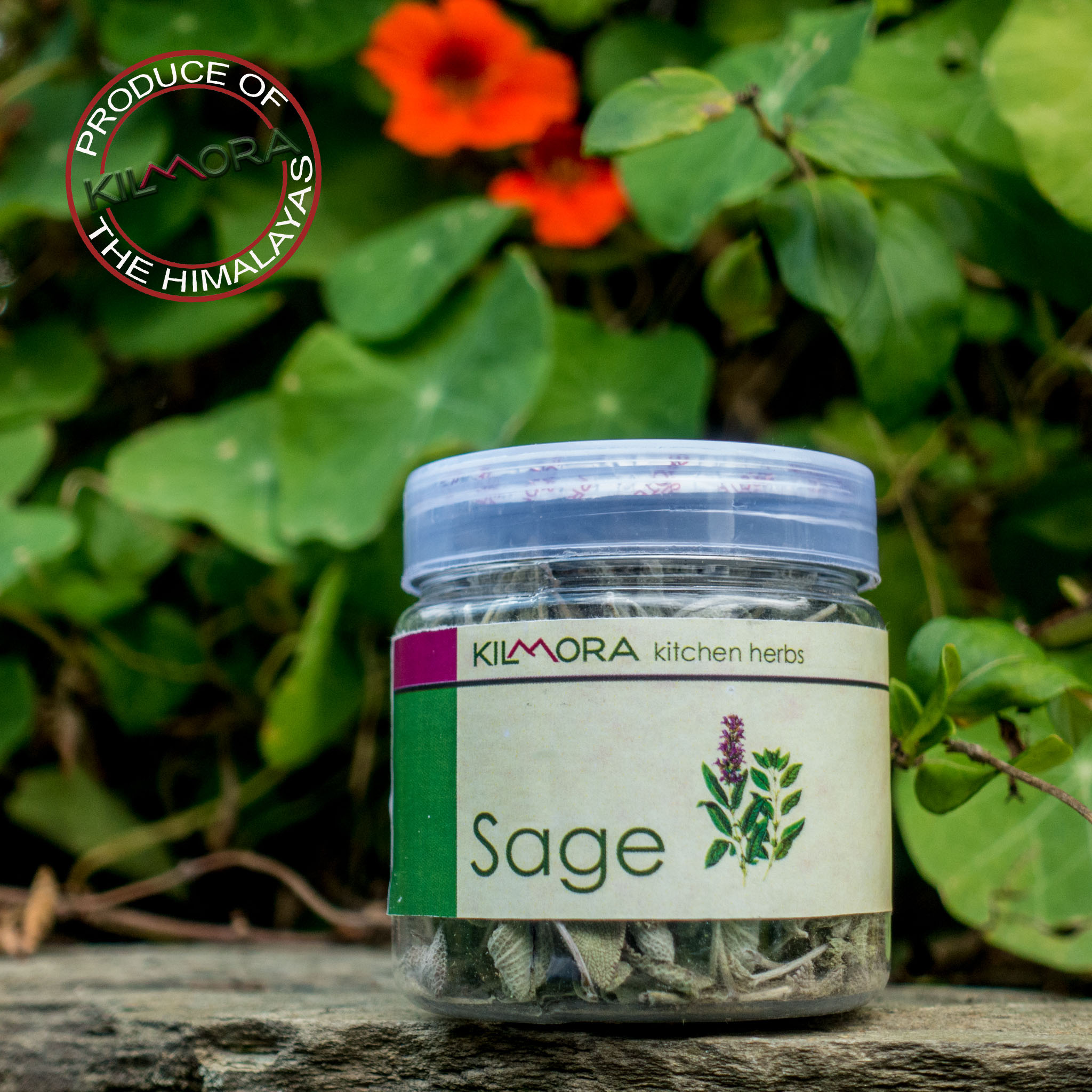 Alsi (Flaxseed Whole) – Kilmora