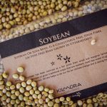 Kilmora – Artisanal Products Hand Made in The Himalayas